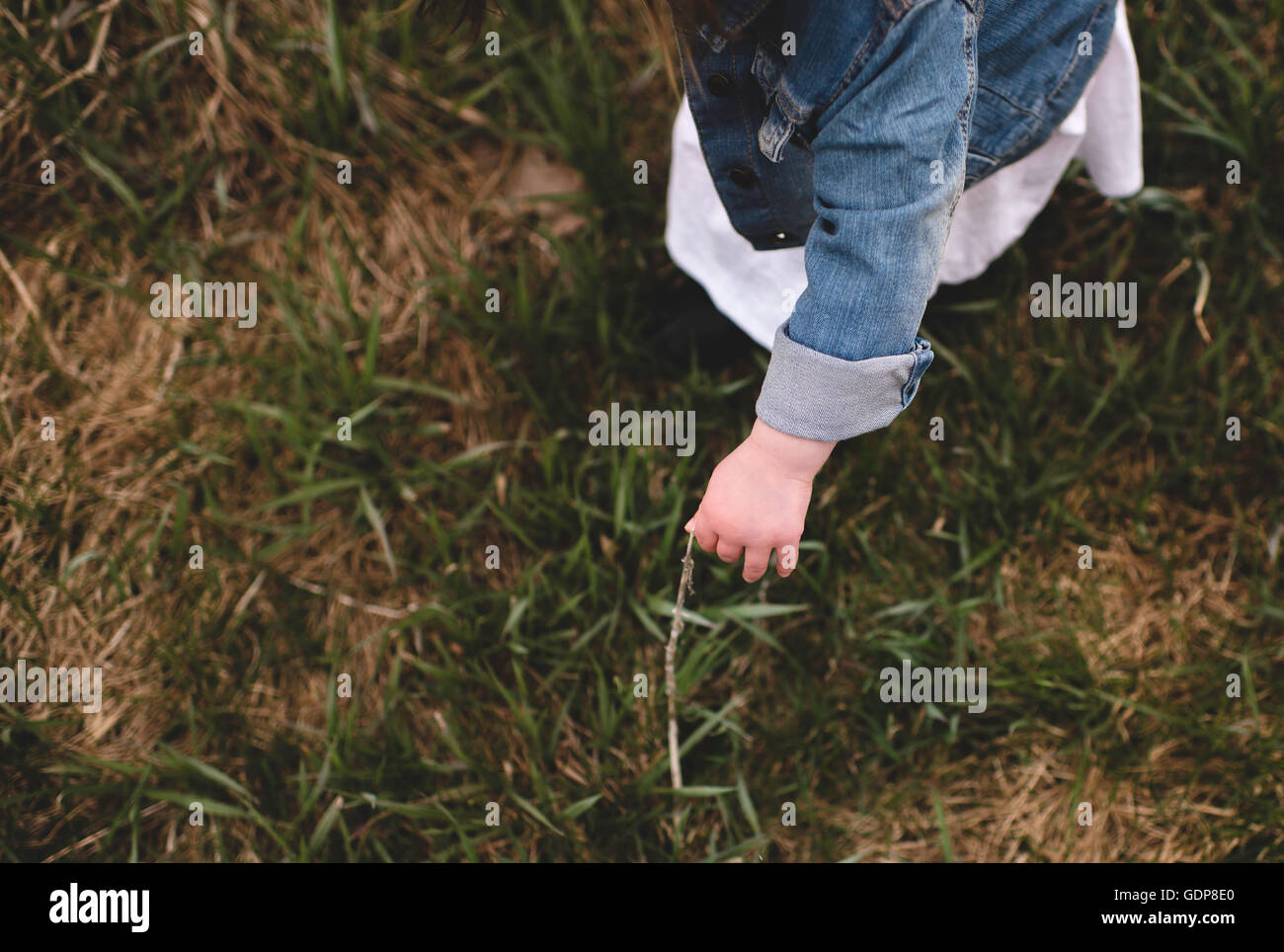 Young girl picking grass in field, elevated view Stock Photo - Alamy