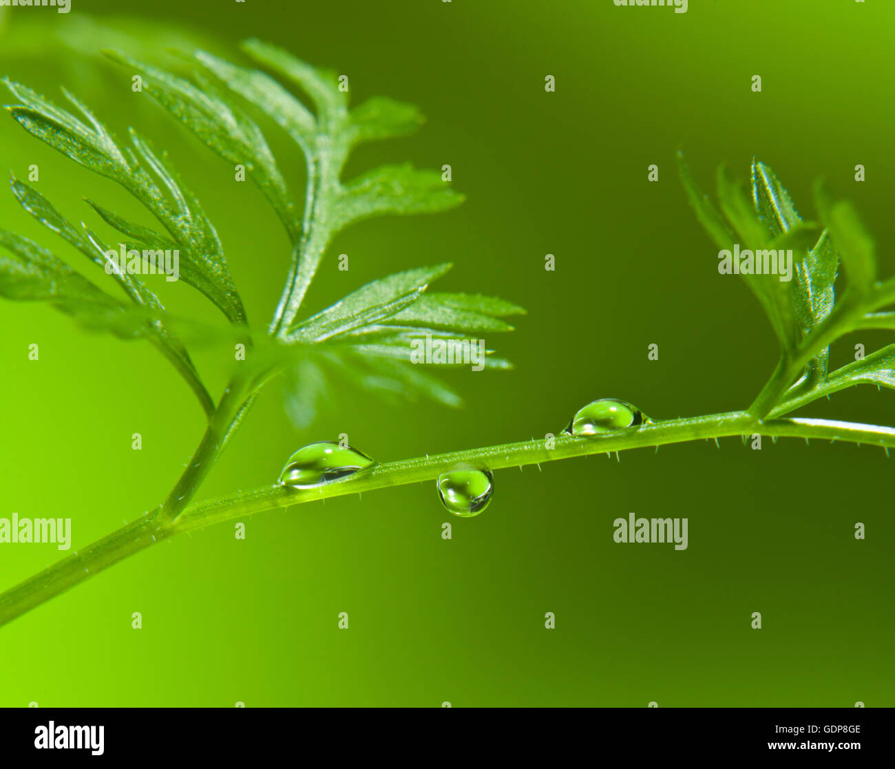Simple droplets hi-res stock photography and images - Alamy