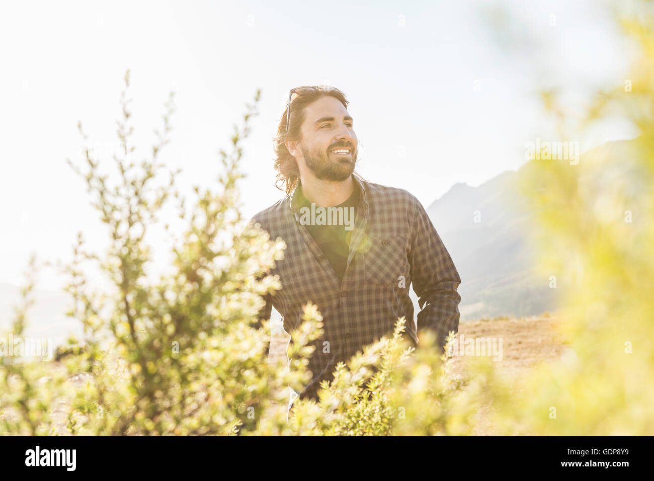 Man enjoying meadows on sunny day Stock Photo - Alamy