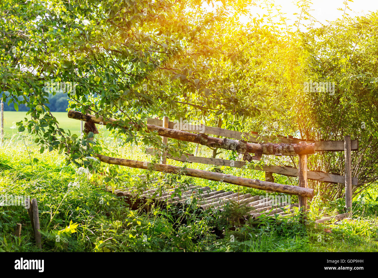 Traditional wooden footbridge crossing field ditch Stock Photo - Alamy
