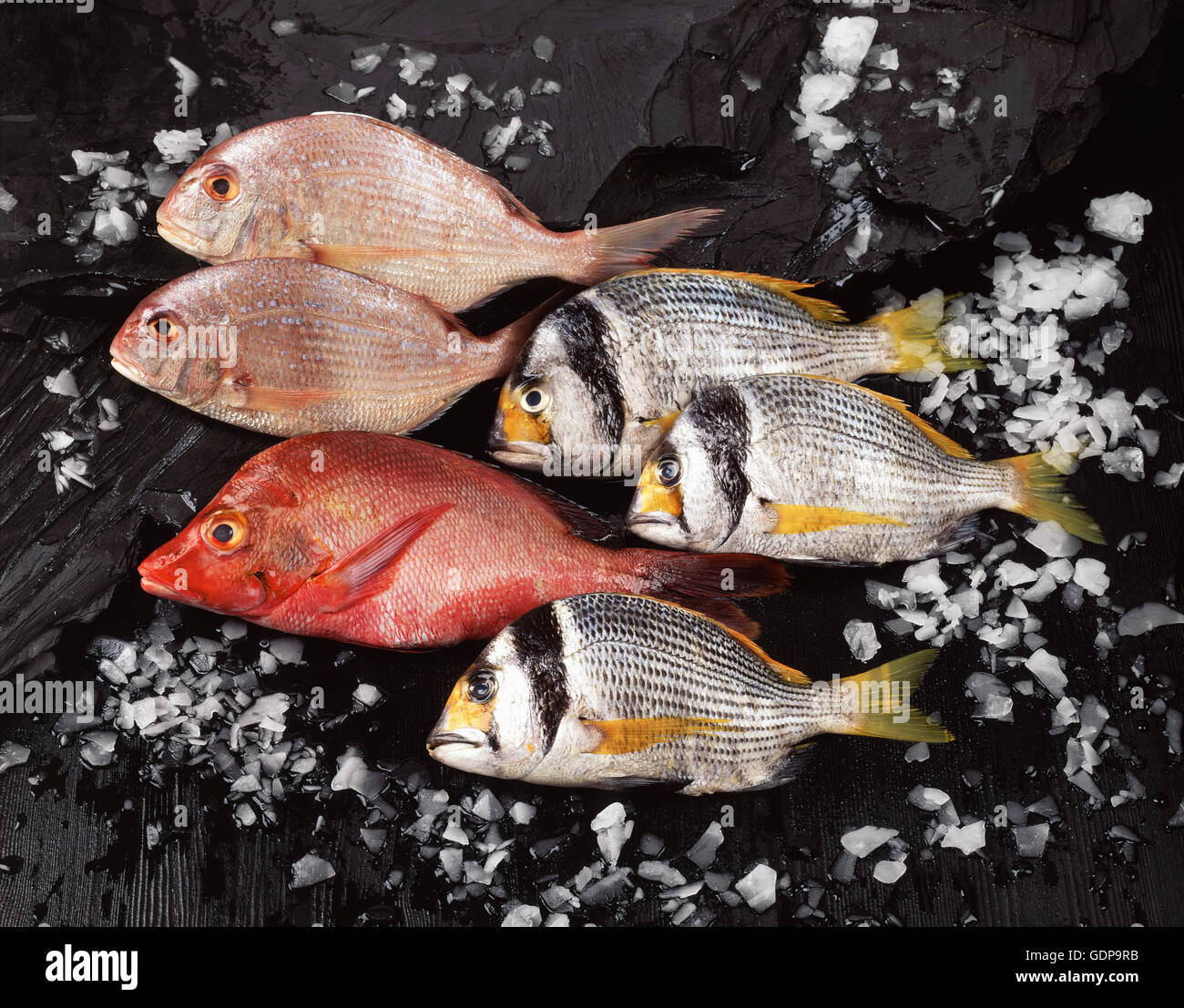 Medium flavor fish hi-res stock photography and images - Alamy