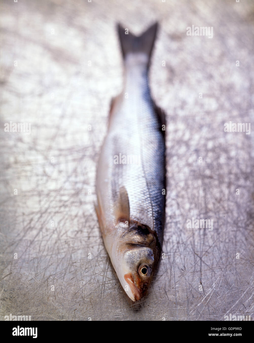 Shallow focus shot bass hi-res stock photography and images - Alamy