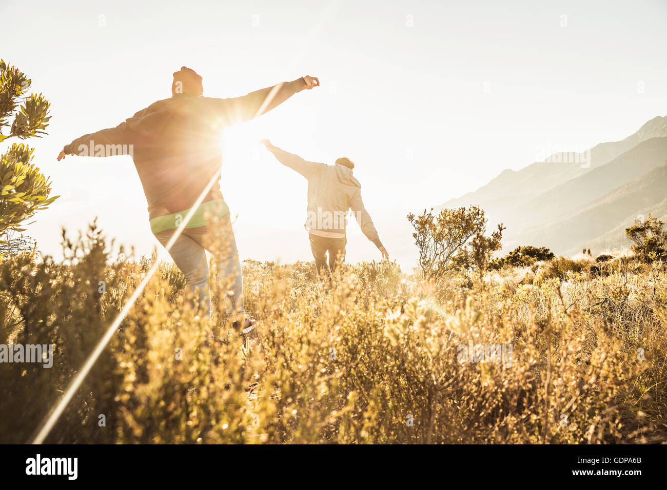Running in an open field hi-res stock photography and images - Alamy