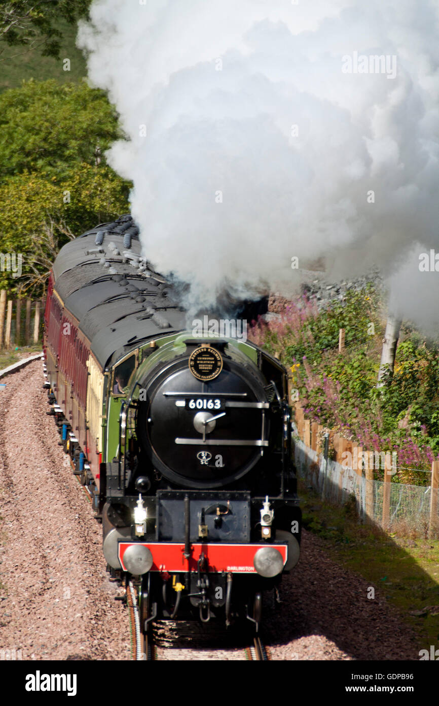 Tornado 60163 A1 Pacific Class Steam Locomotive on the Scottish Borders ...