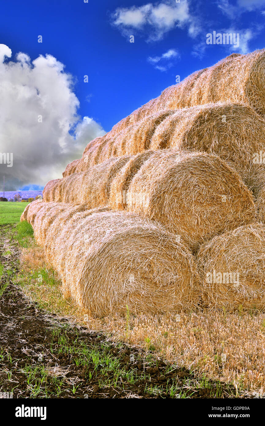 Hay stack background hi-res stock photography and images - Alamy