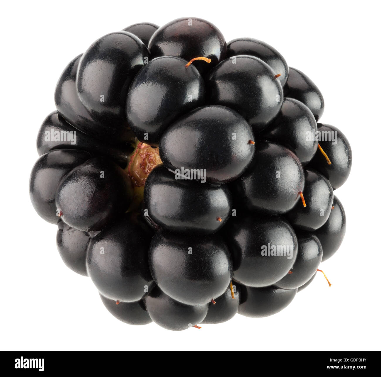 White Blackberry Fruit