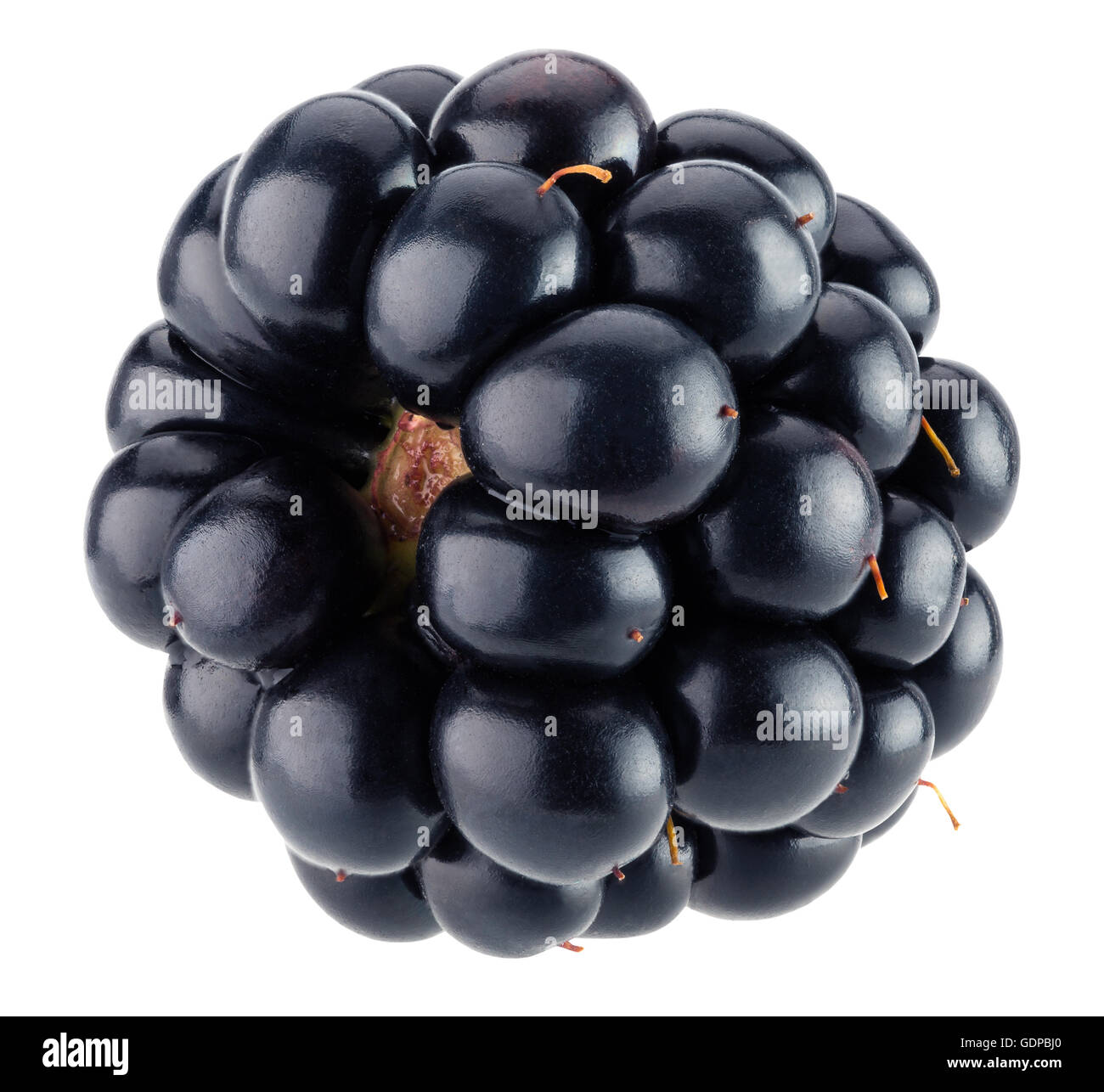 Blackberry hi-res stock photography and images - Alamy