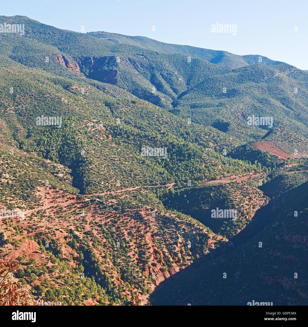 bush in todra gorge morocco africa and village Stock Photo - Alamy