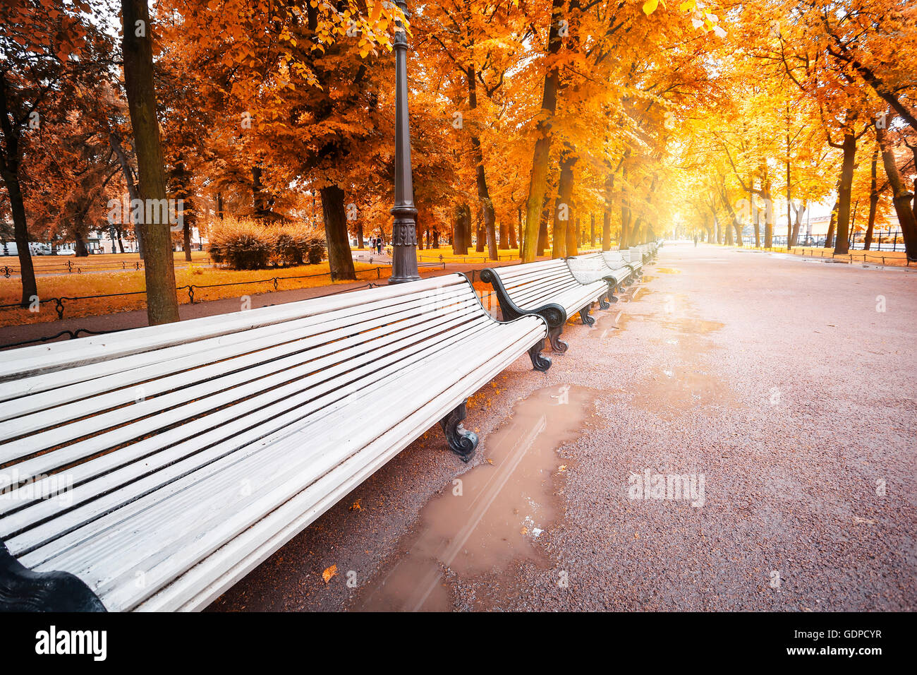 Path with benches in the park in autumn Stock Photo - Alamy