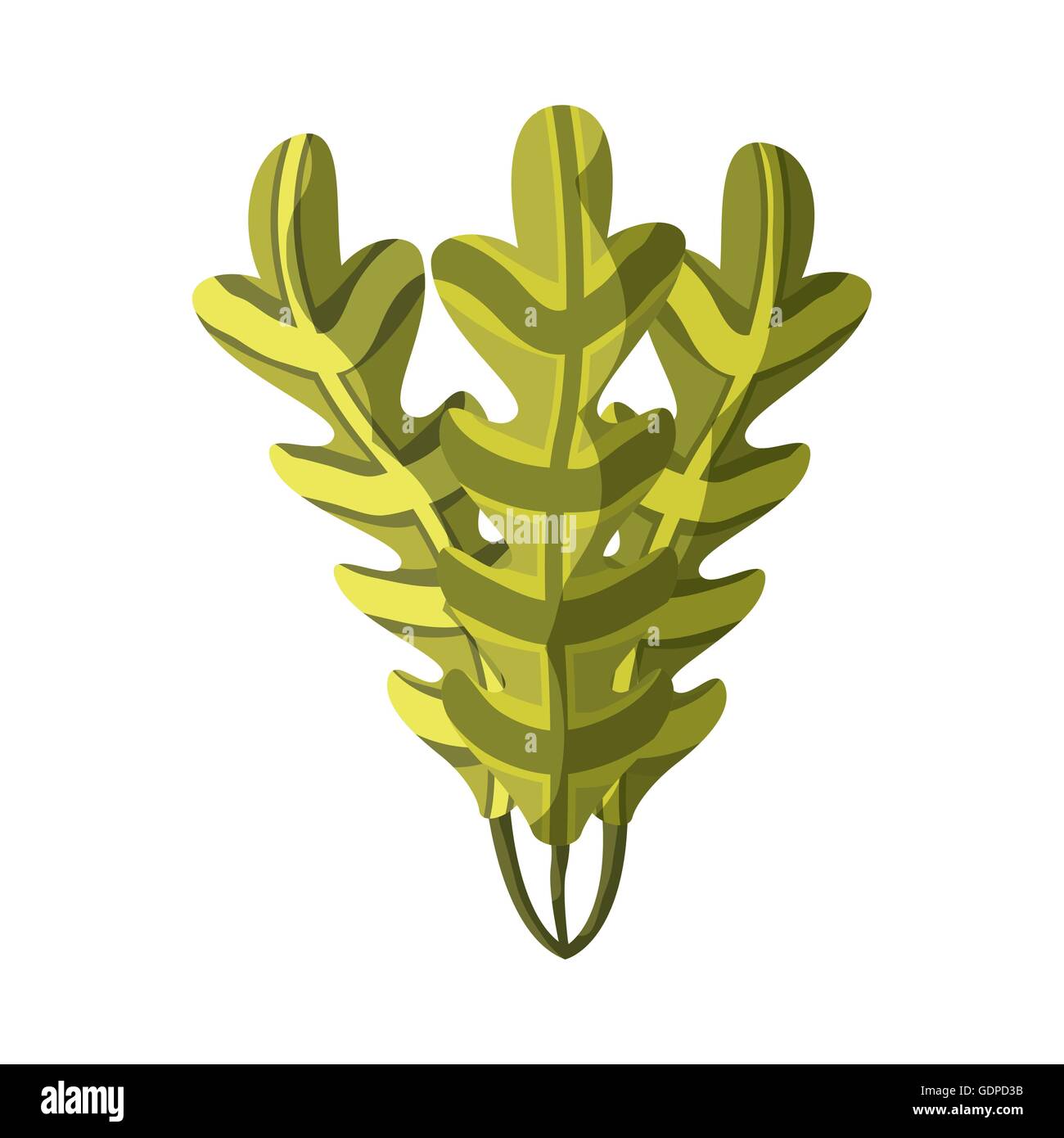 Algae icon. Sea life design. Vector graphic Stock Vector Image & Art ...