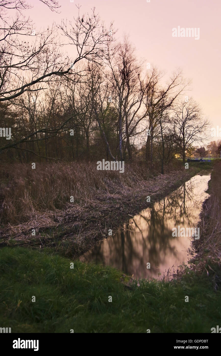 Shot this in a ditch hi-res stock photography and images - Alamy