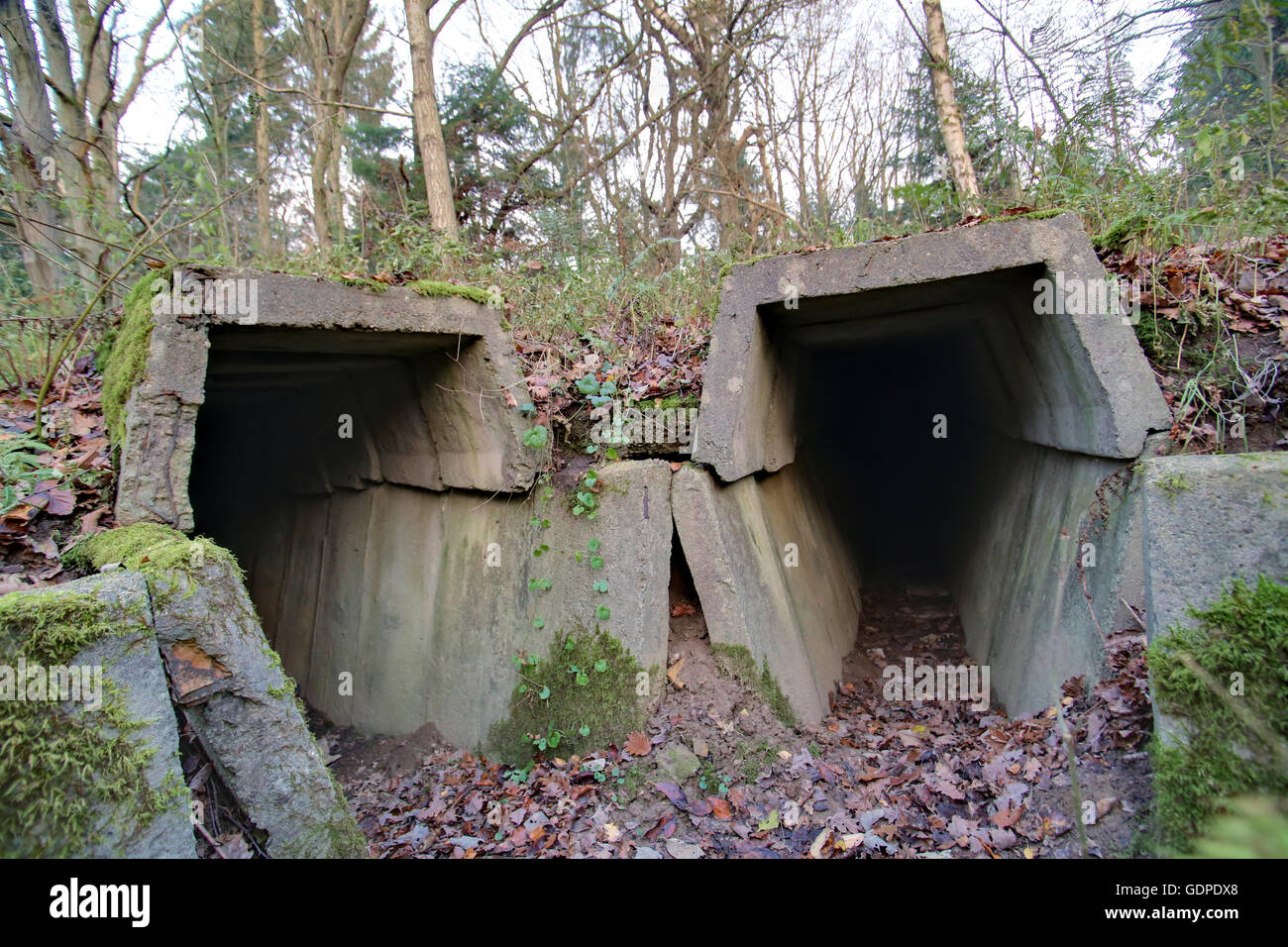 Two entrances in bunker ruins in Mecklenburg-Vorpommern, Germany Stock ...