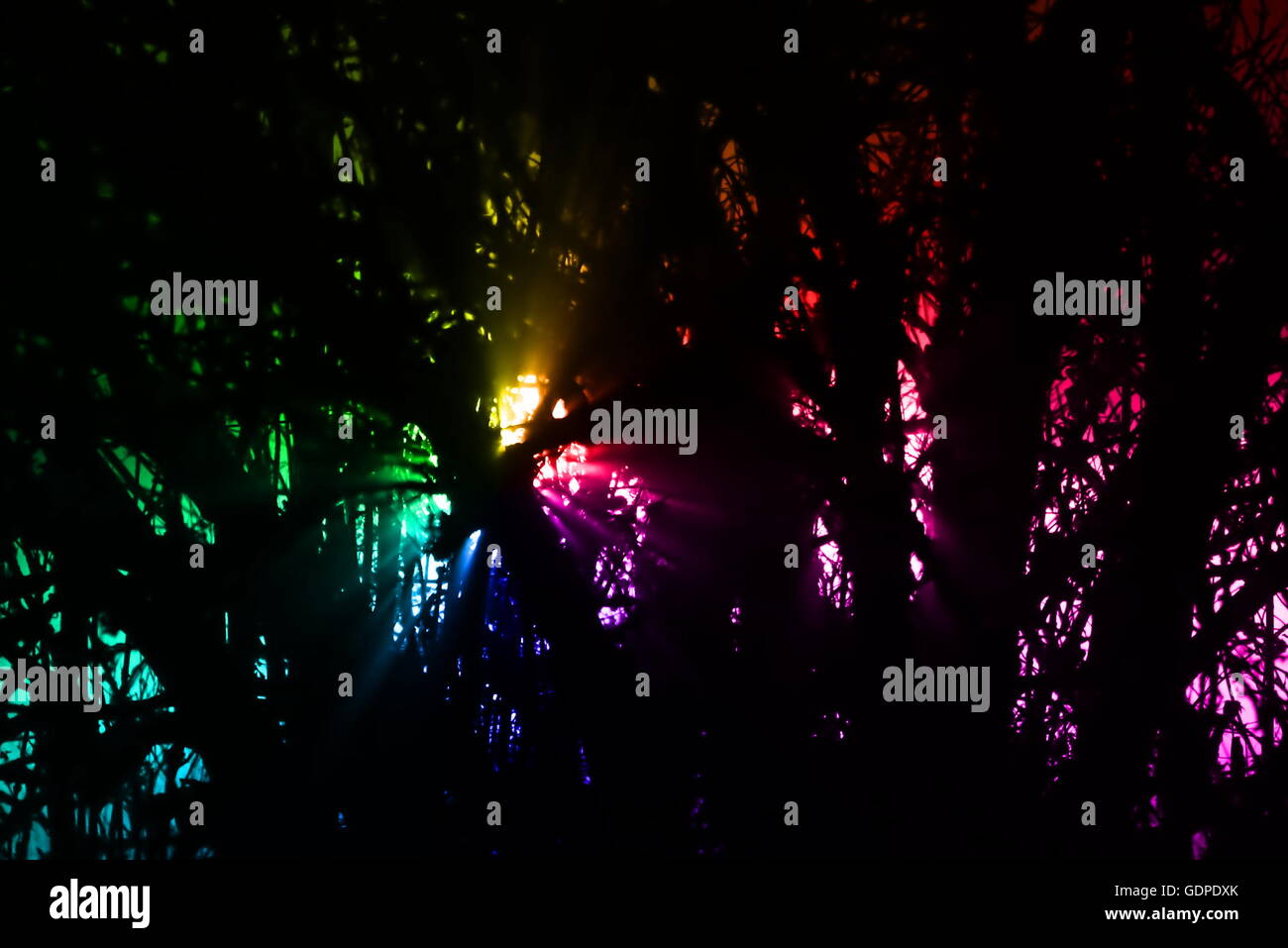 Rainbow colored light in shining through tree in the night Stock Photo ...