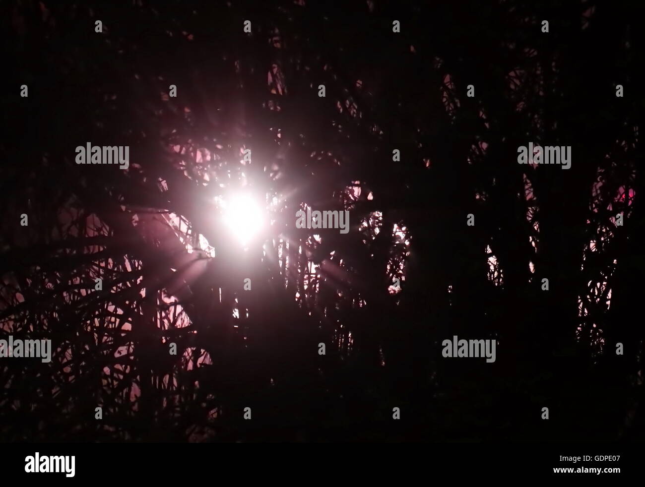 Blinding blinding light hi-res stock photography and images - Alamy