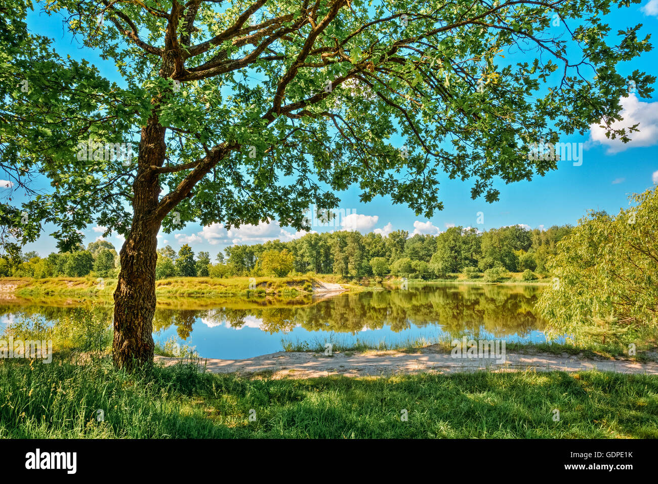 River Landscape With Green Forest Woods On Coast And Reflections Of ...