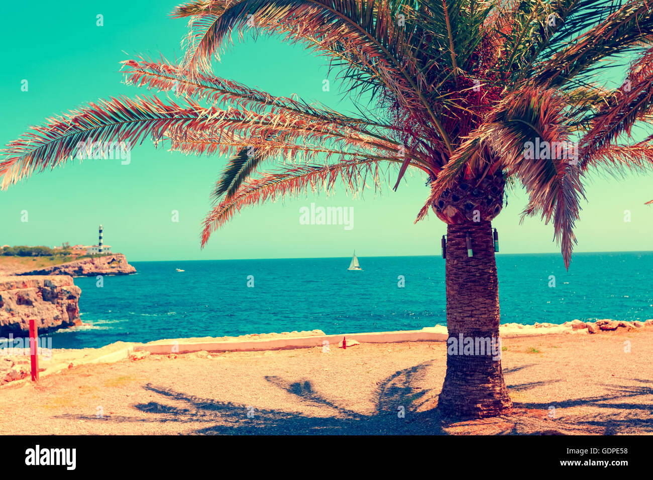 Palm lighthouse in background hi-res stock photography and images - Alamy