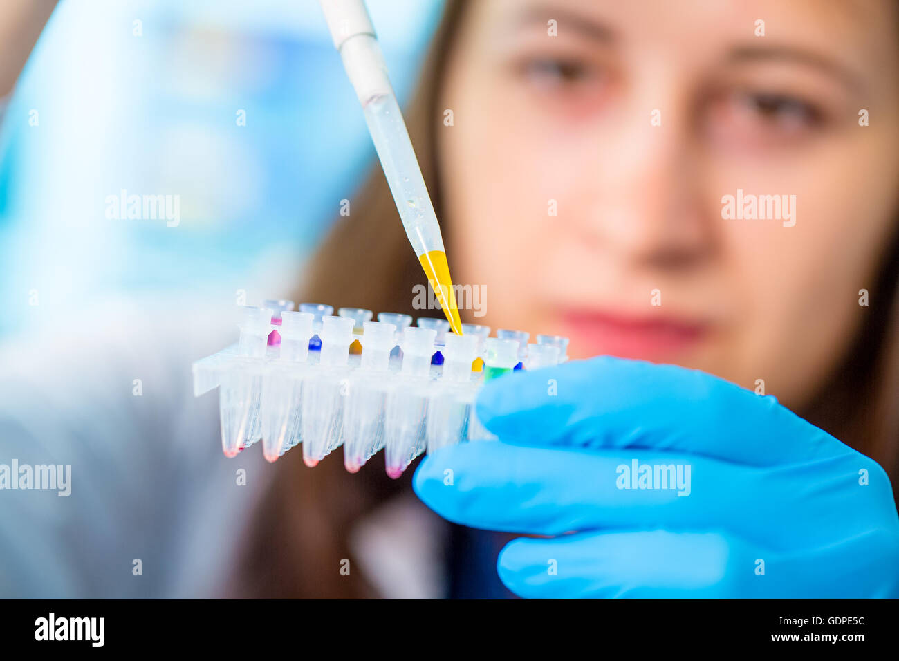 technician in the laboratory with a pipette and test tube Stock Photo ...