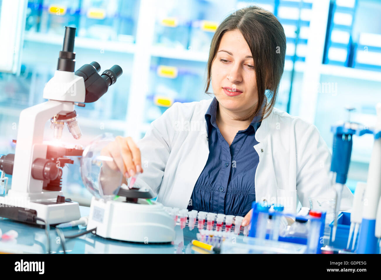 Woman laboratory assistant sets PCR test micro tubes in a centrifuge ...