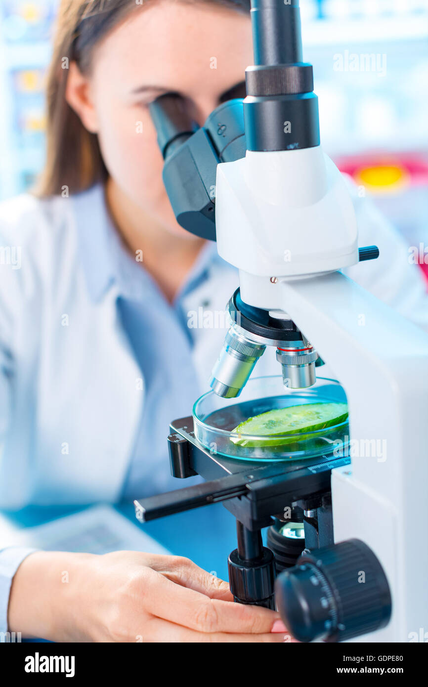 Scientists using microscope in laboratory hi-res stock photography and ...