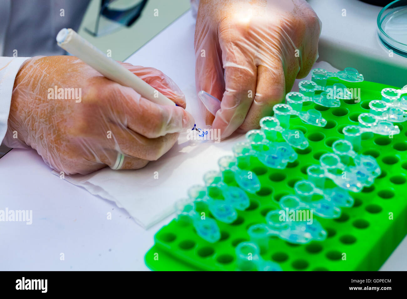 Marking genetic samples in the laboratory Stock Photo - Alamy