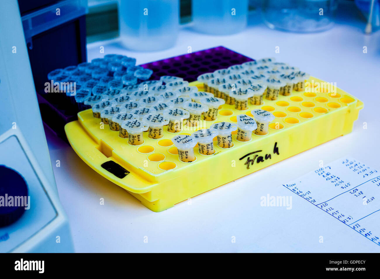 Marking genetic samples in the laboratory Stock Photo - Alamy