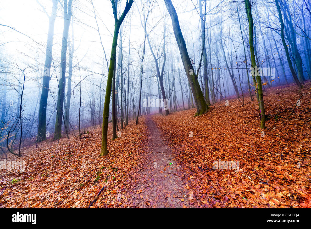 Twilight hi-res stock photography and images - Alamy