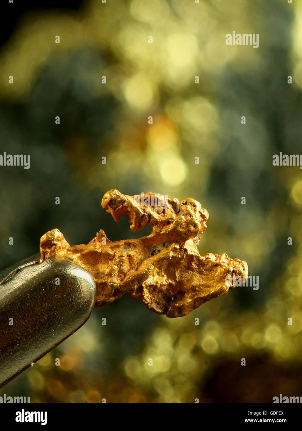 Gold nugget hand hi-res stock photography and images - Alamy
