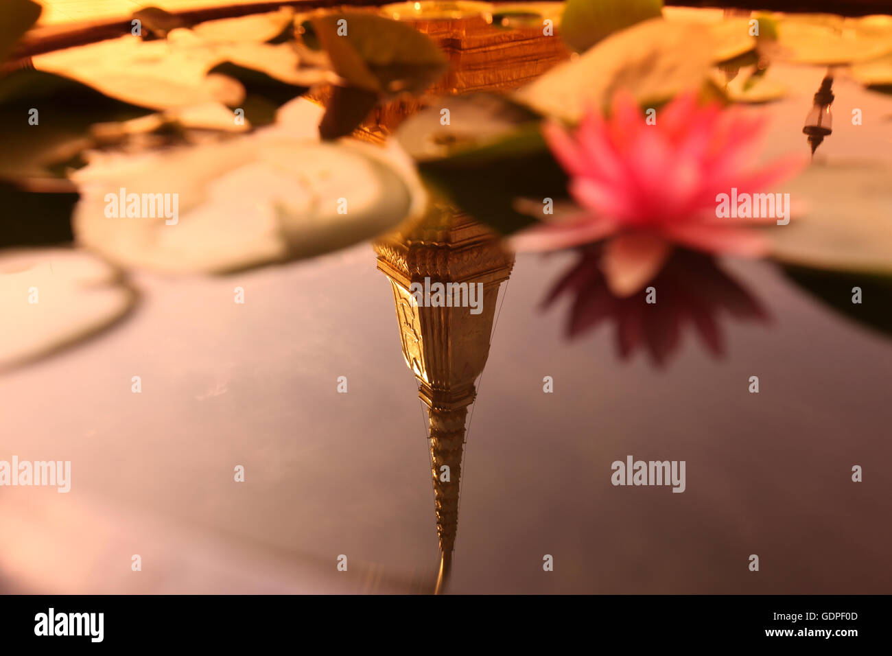 Lotus flower at wat phra kaew hi-res stock photography and images - Alamy