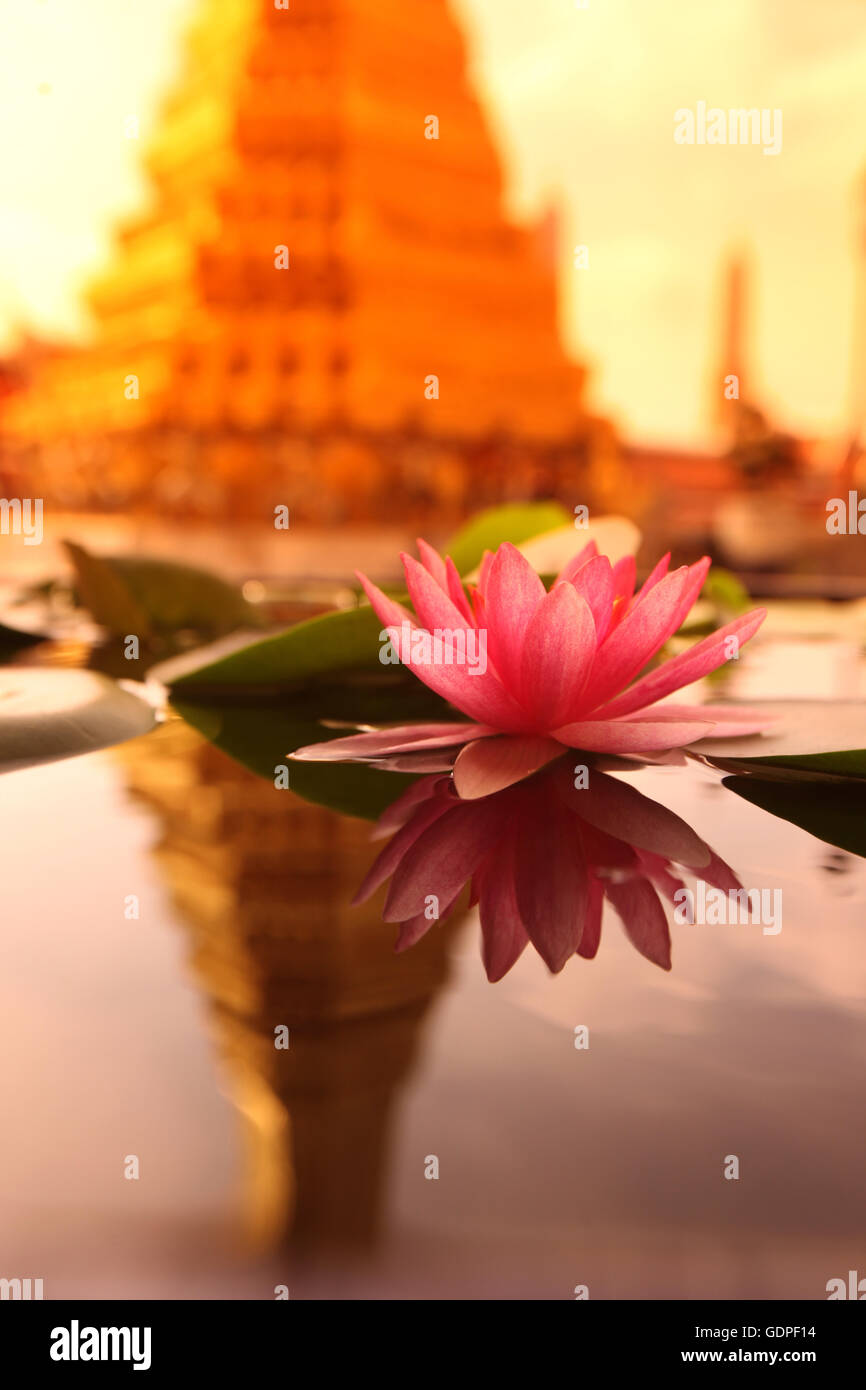 Lotus flower at wat phra kaew hi-res stock photography and images - Alamy