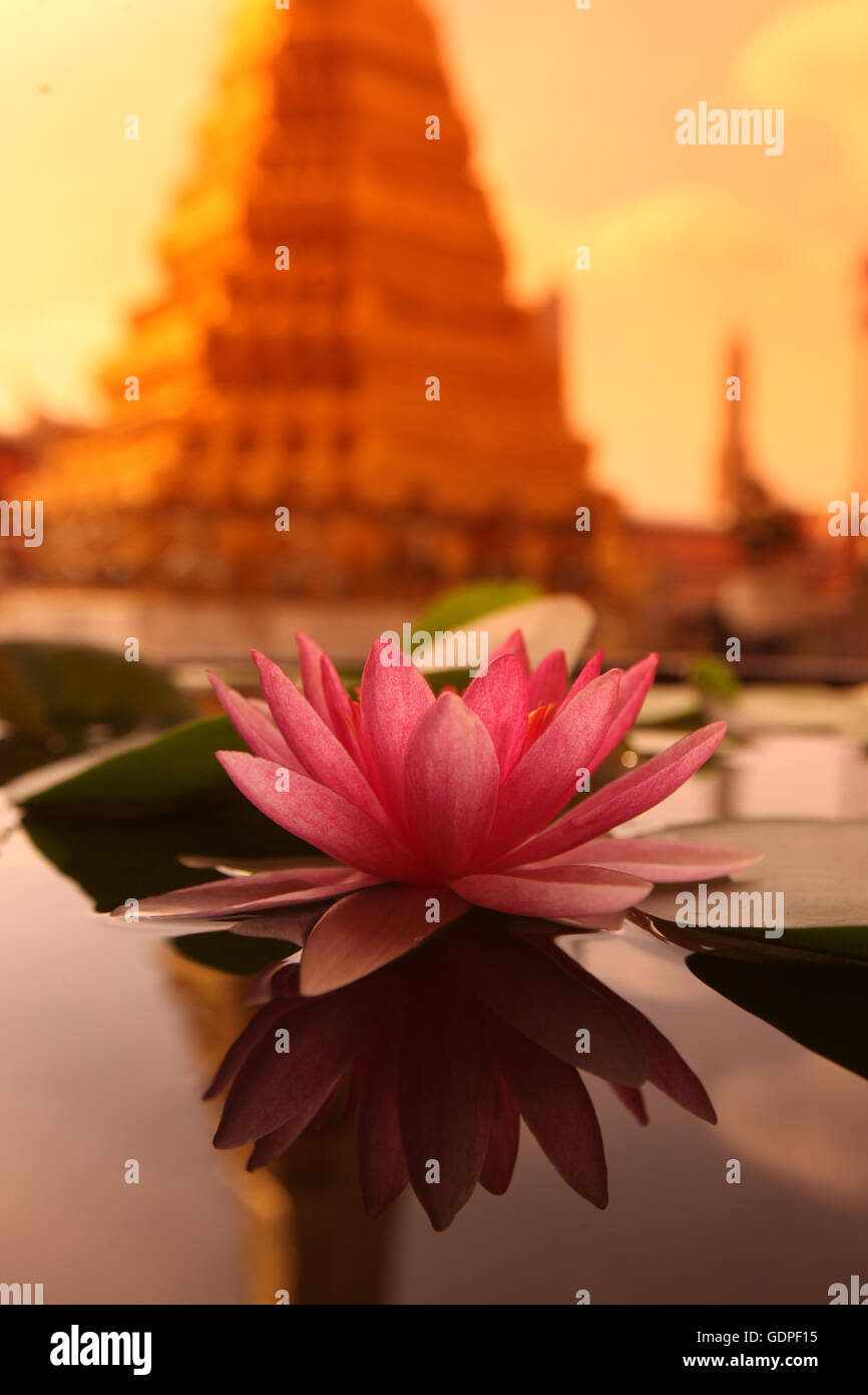 Lotus flower at wat phra kaew hi-res stock photography and images - Alamy