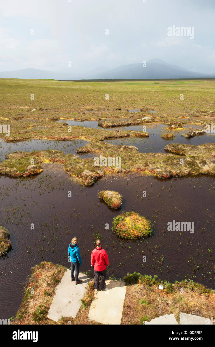 Young couple exploring peatland pools on the RSPB Dubh Lochan Trail at ...