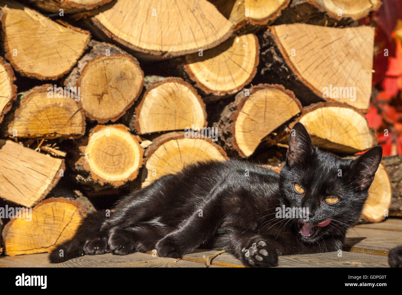 After meal hi-res stock photography and images - Alamy