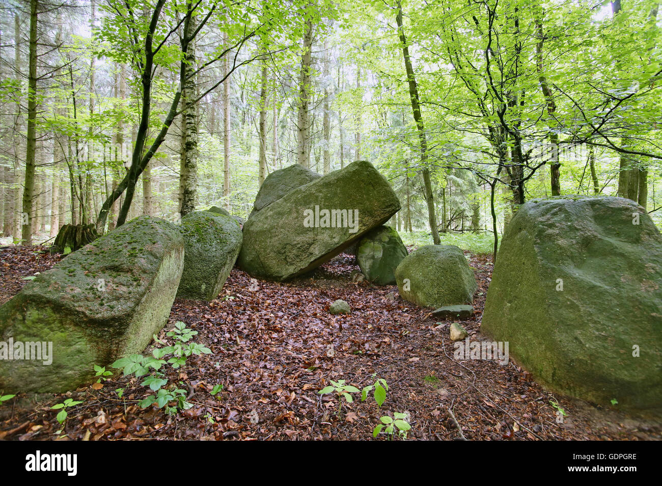An ancient megalithic tomb in the forest near Poggendorf (Tomb number 4 ...