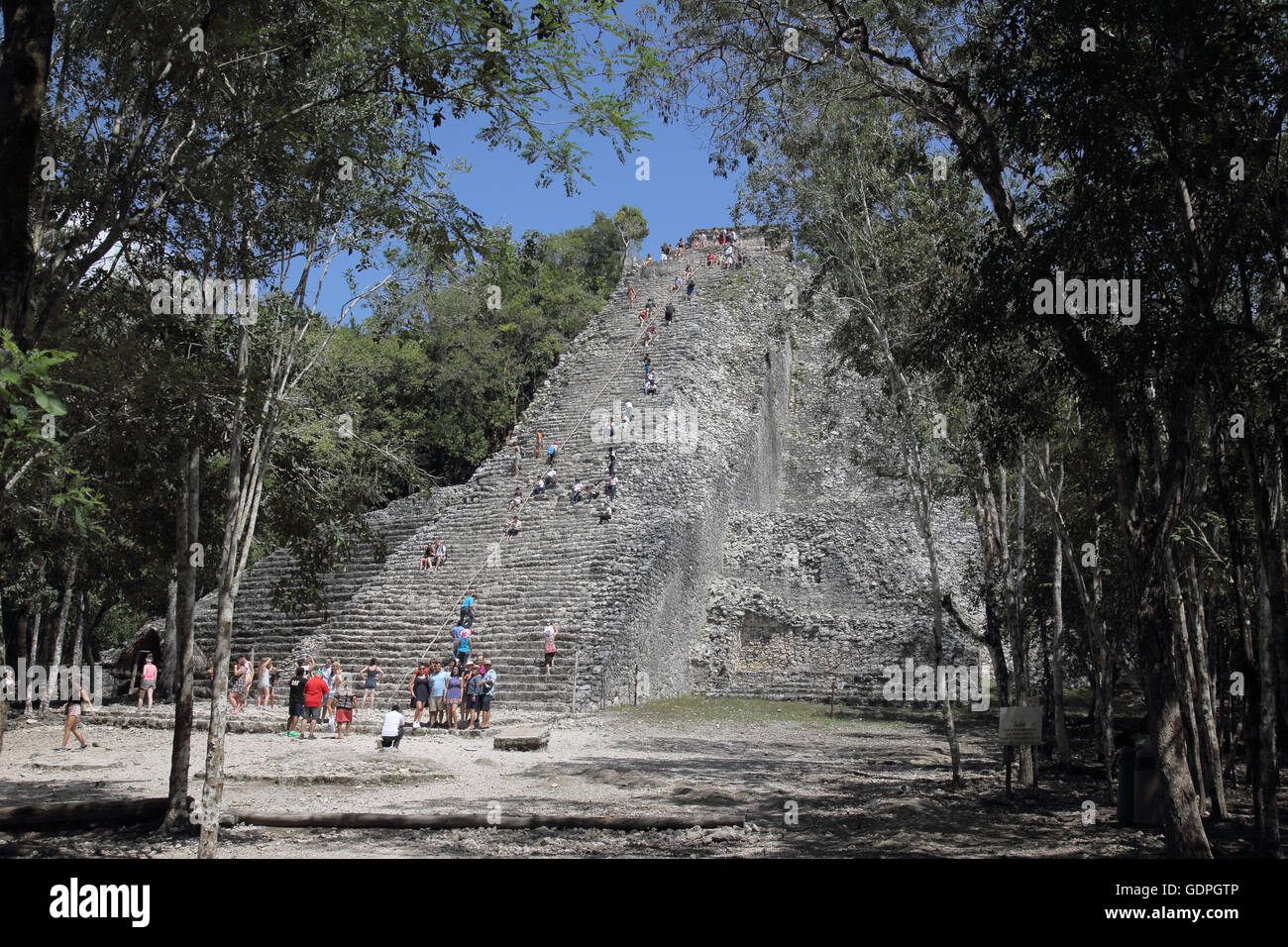 the nohoch mul pyramid at the ancient mayan archaeological site at coba ...
