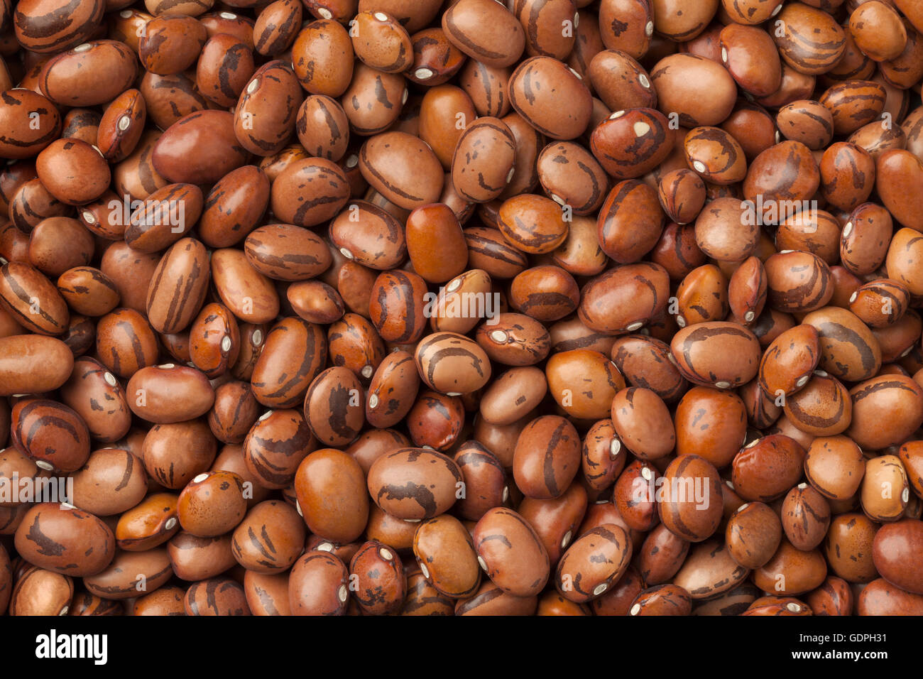 Dried eye of the goat beans full frame Stock Photo - Alamy