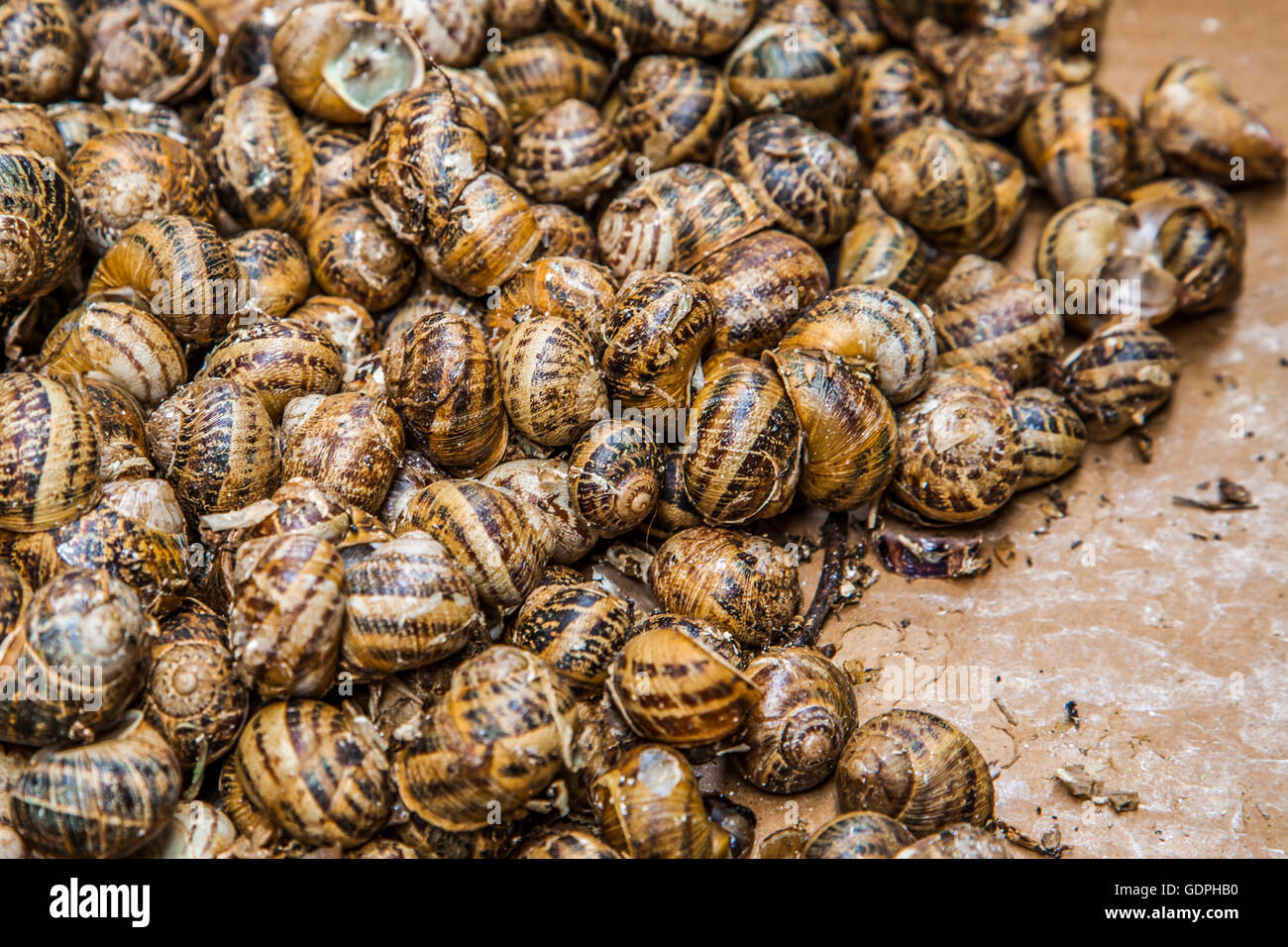 Ready cultu hi-res stock photography and images - Alamy