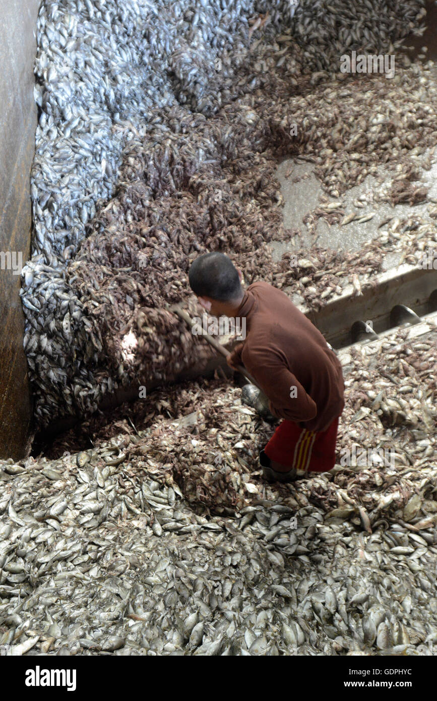 Fishmeal factory hi-res stock photography and images - Alamy