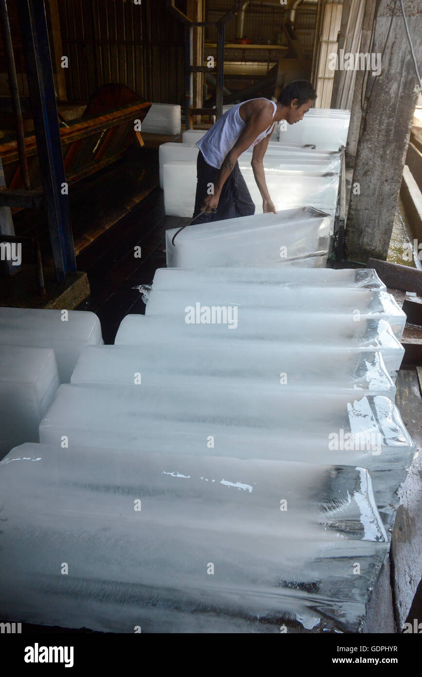 the ice factory at a fishmeal factory in the city of Myeik in the south ...
