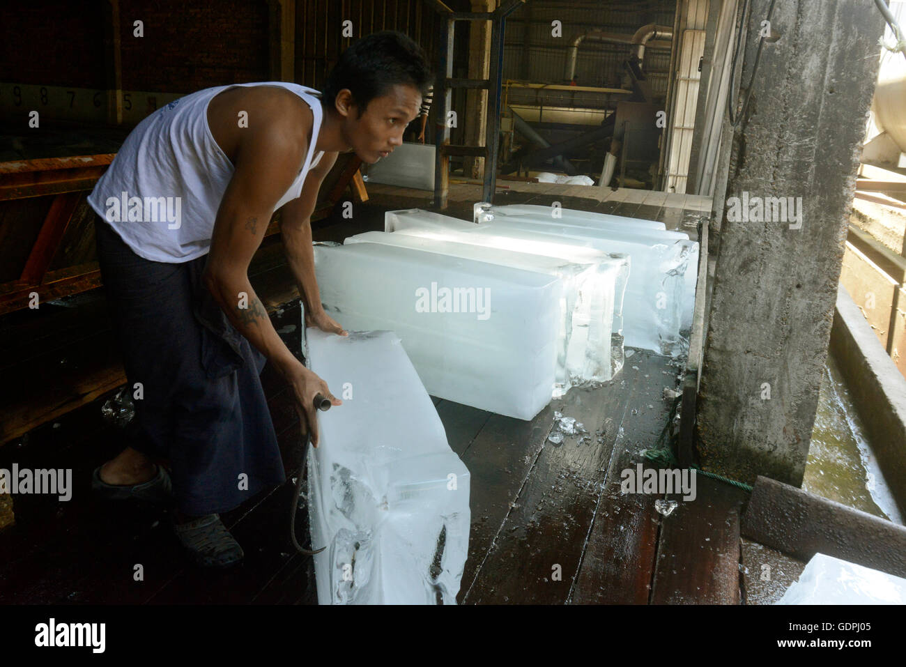 the ice factory at a fishmeal factory in the city of Myeik in the south ...