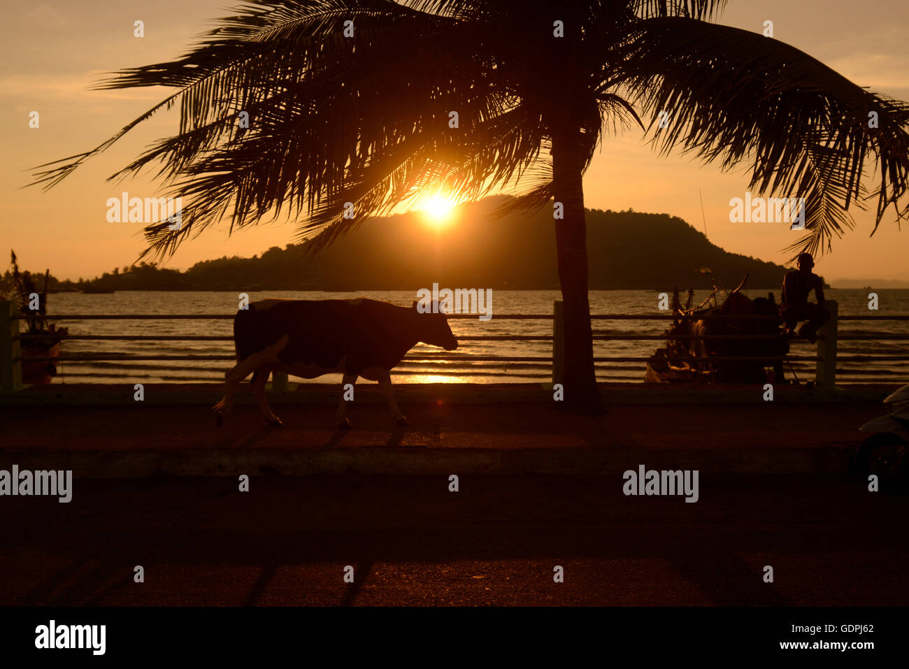 the sunset at the Stand road at the coast of the Andaman sea of Myeik ...