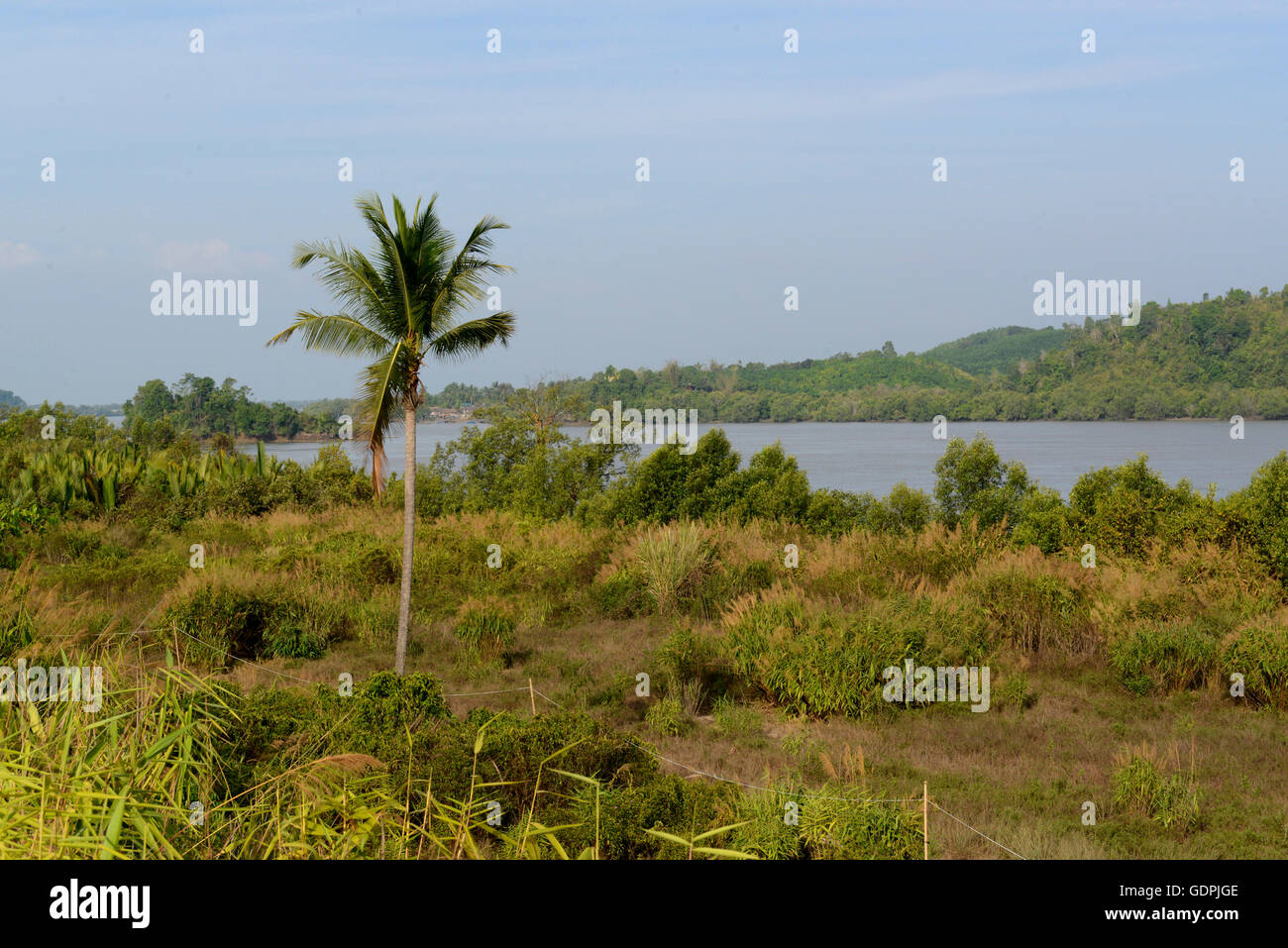 the landscape in a village near the city of Myeik in the south in ...