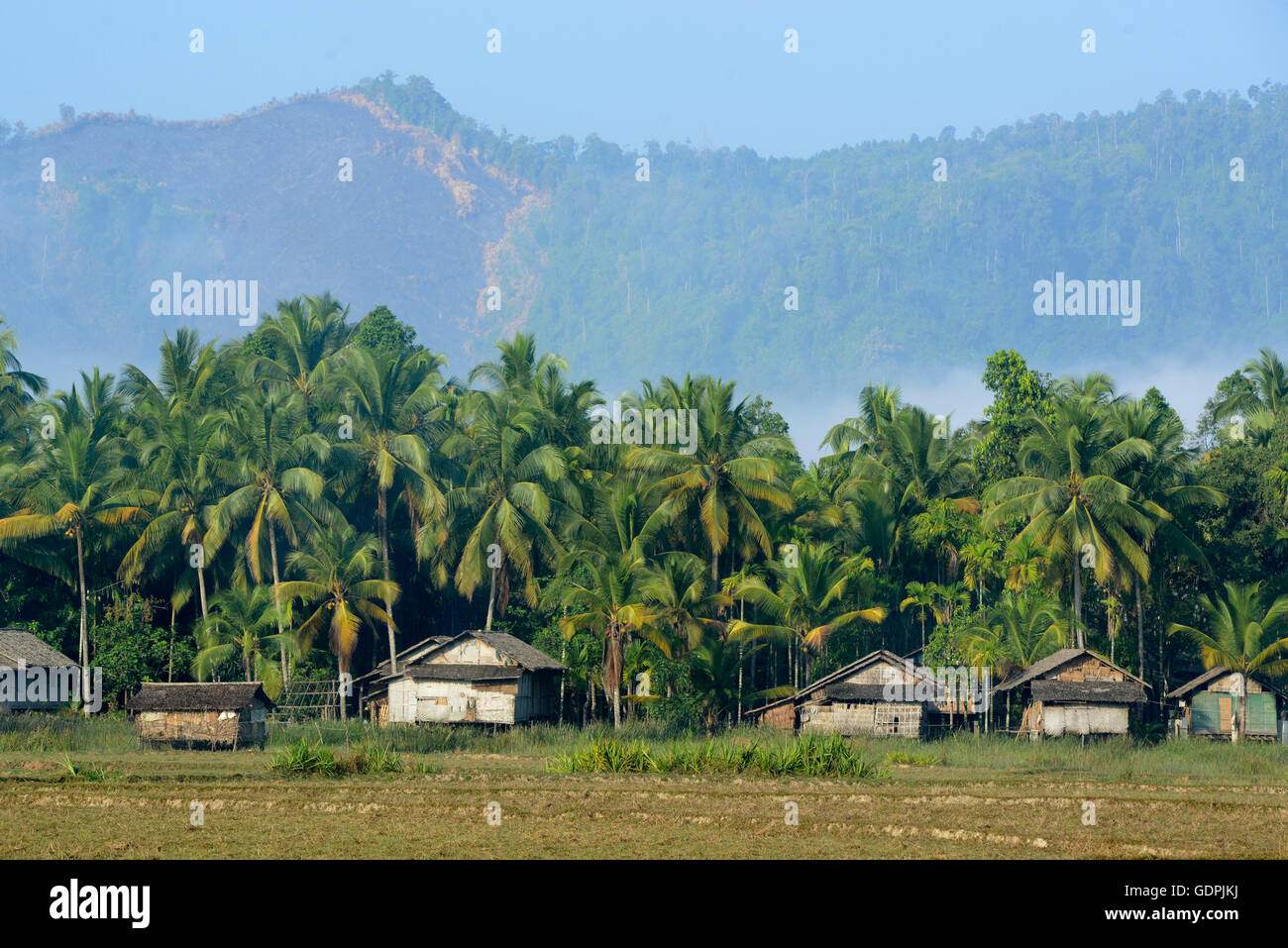 a House in a village near the city of Myeik in the south in Myanmar in ...