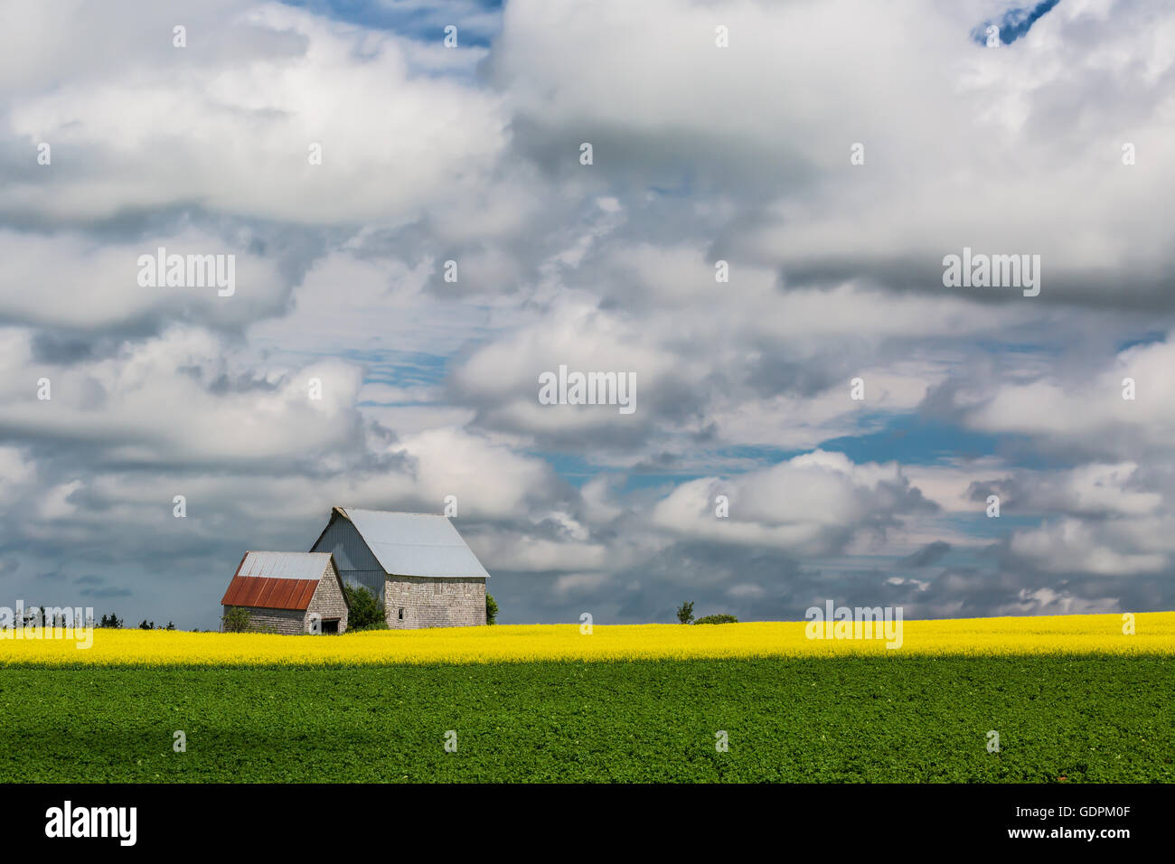Pei farm land hi-res stock photography and images - Alamy