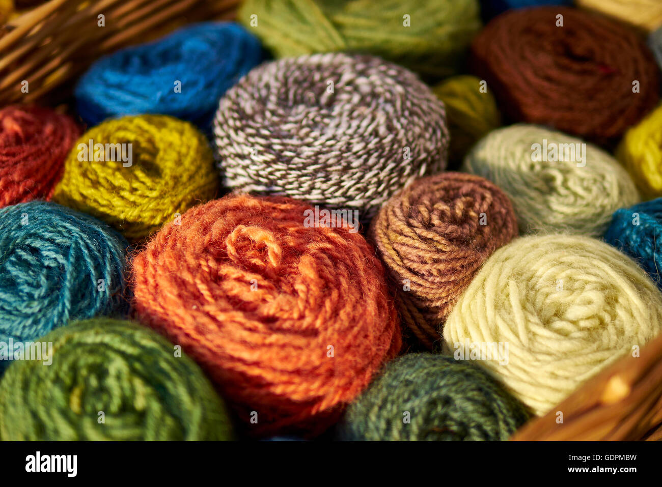 Dyed sheep hi-res stock photography and images - Alamy