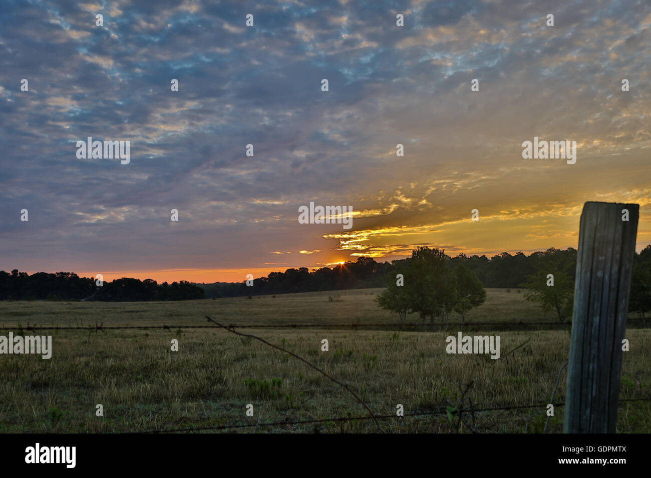 morning sunrise sky on a cattle farm Stock Photo - Alamy