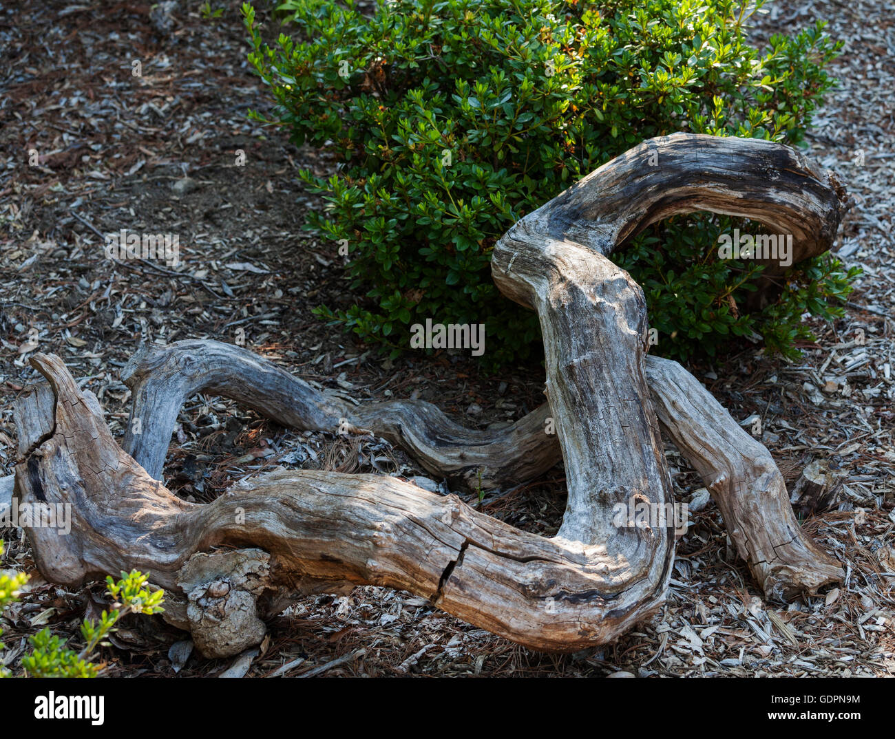 Weathering wood hi-res stock photography and images - Alamy