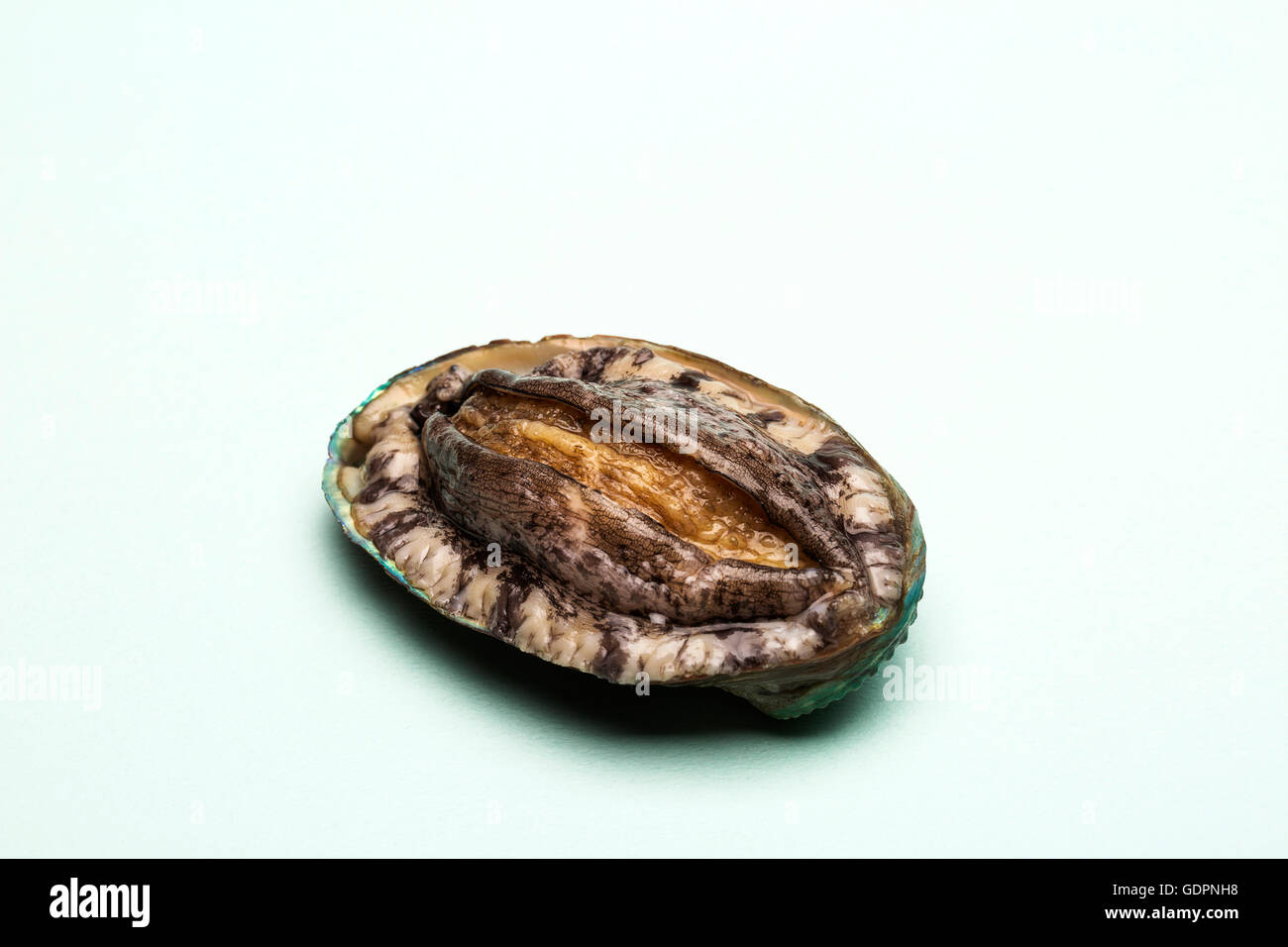 Abalone Fishing Stock Photos & Abalone Fishing Stock Images - Alamy