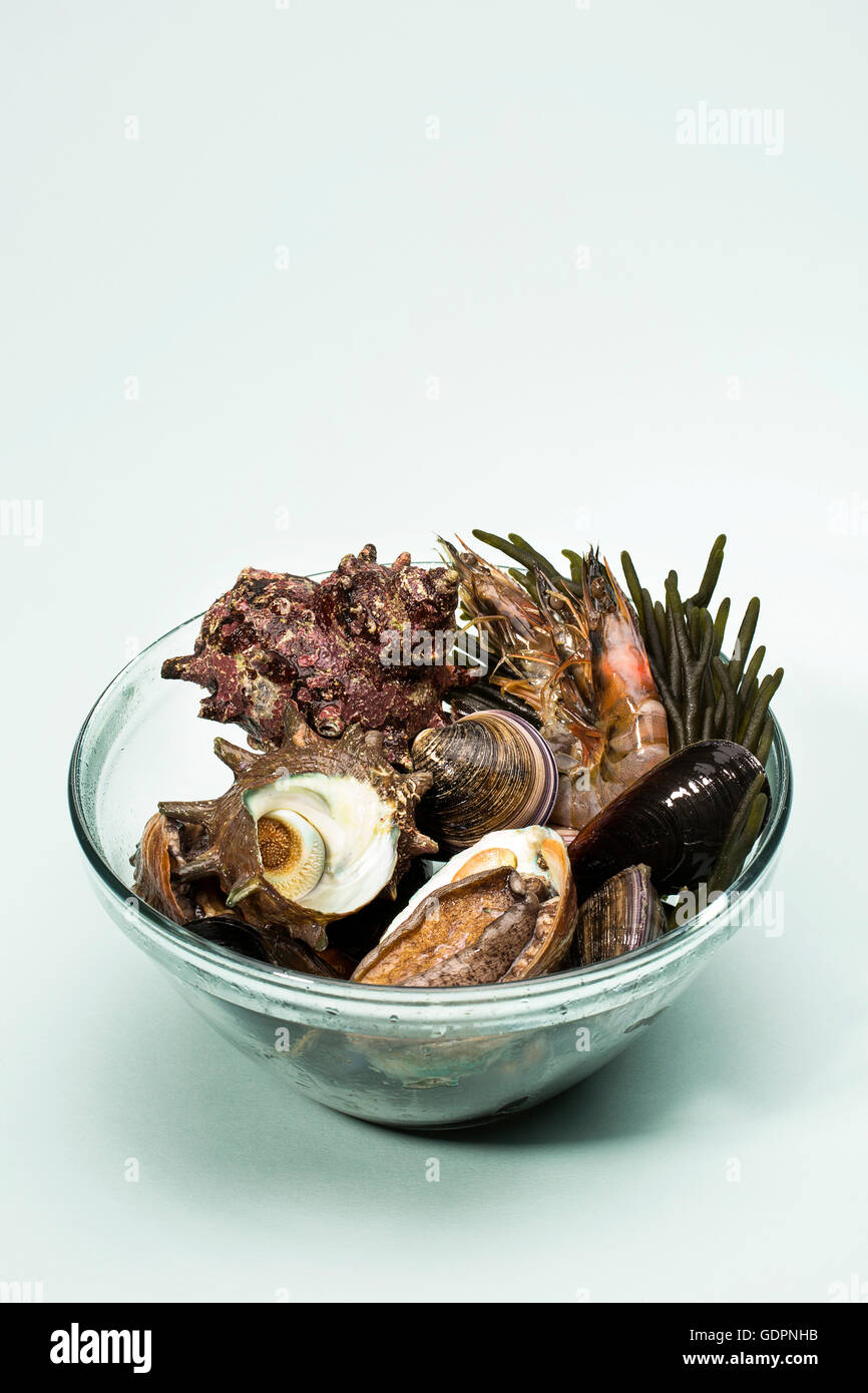 Different Types of Shell Fish and Shrimps/Prawns with Seaweed in a ...