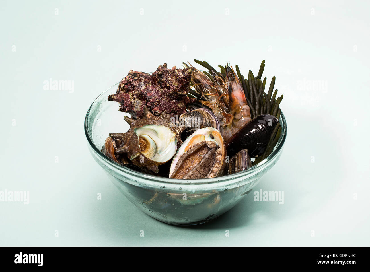 Different Types of Shell Fish and Shrimps/Prawns with Seaweed in a ...