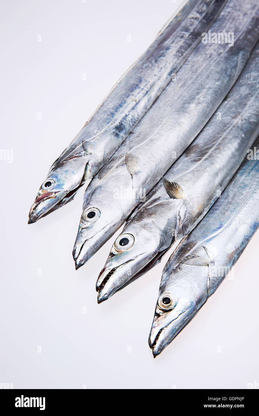 Hairtail fish hi-res stock photography and images - Alamy